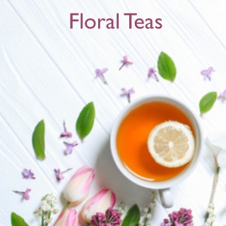 | Murchie's Tea & Coffee